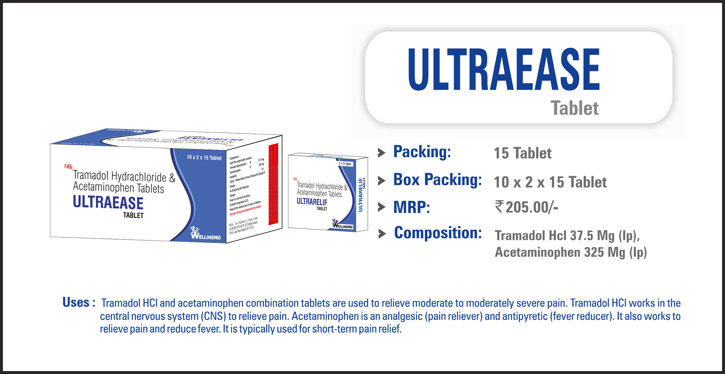 Wellmend Pharmaceuticals Pvt. Ltd.